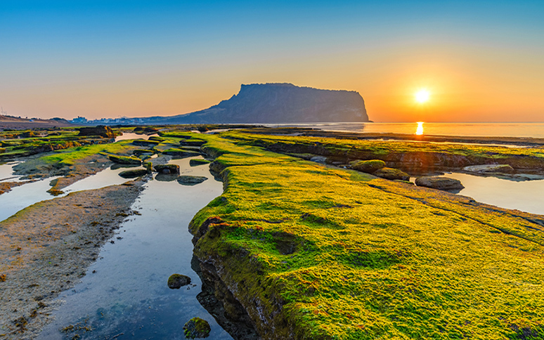 ICMART / ICMART 2024